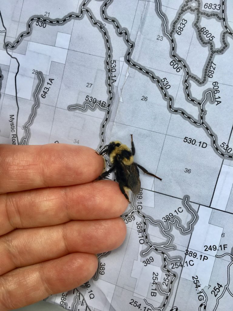 Off-Roadside Assistance - Miracle Update: Outback Edition